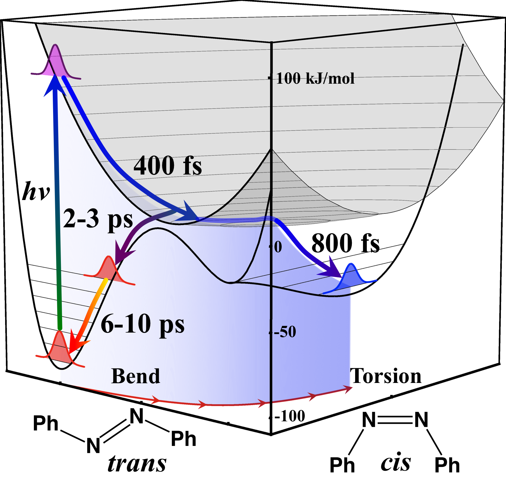 Ndab | David P. Hoffman, PhD.