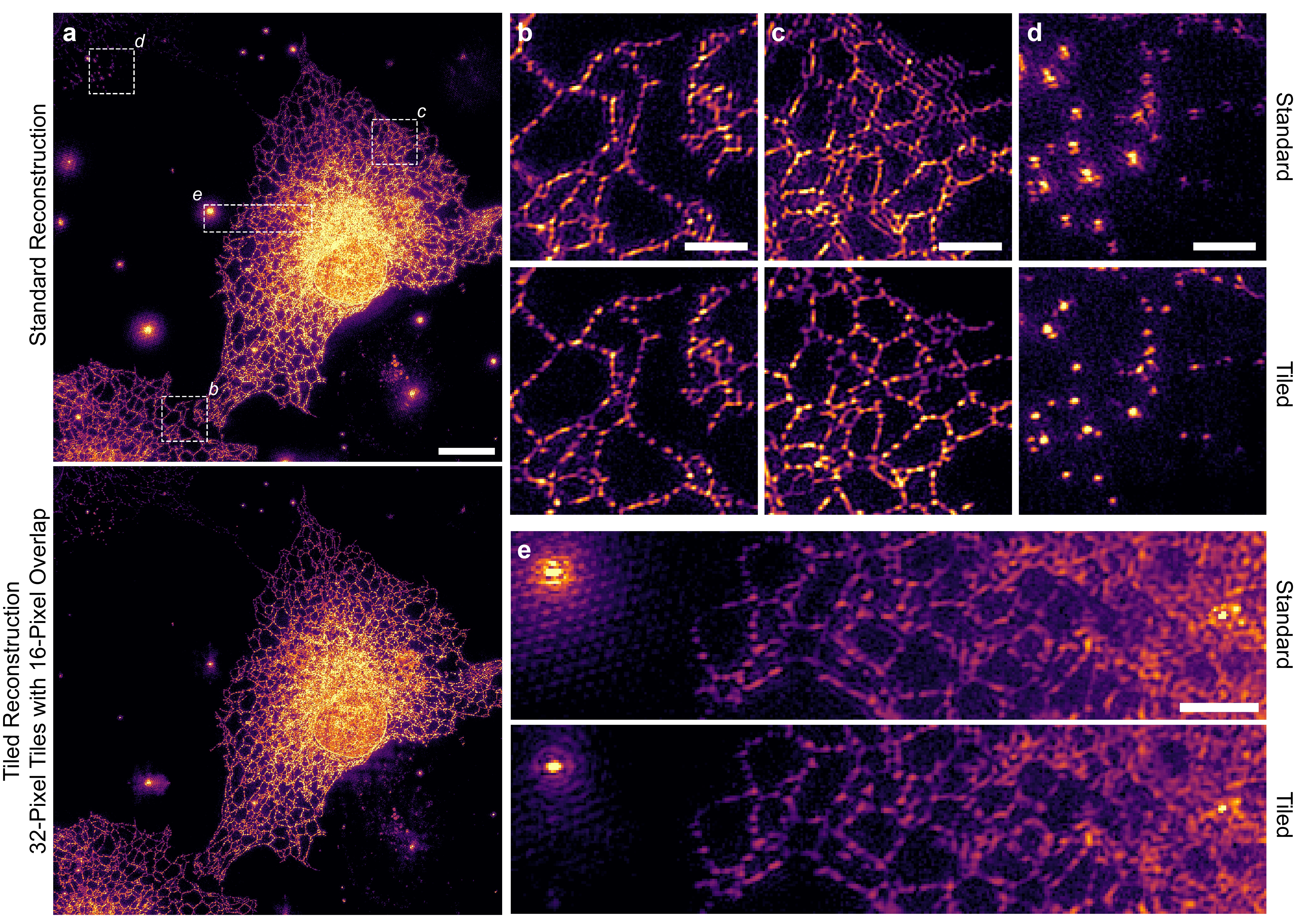 Tiled Reconstruction Improves Structured Illumination Microscopy | David P. Hoffman, PhD.